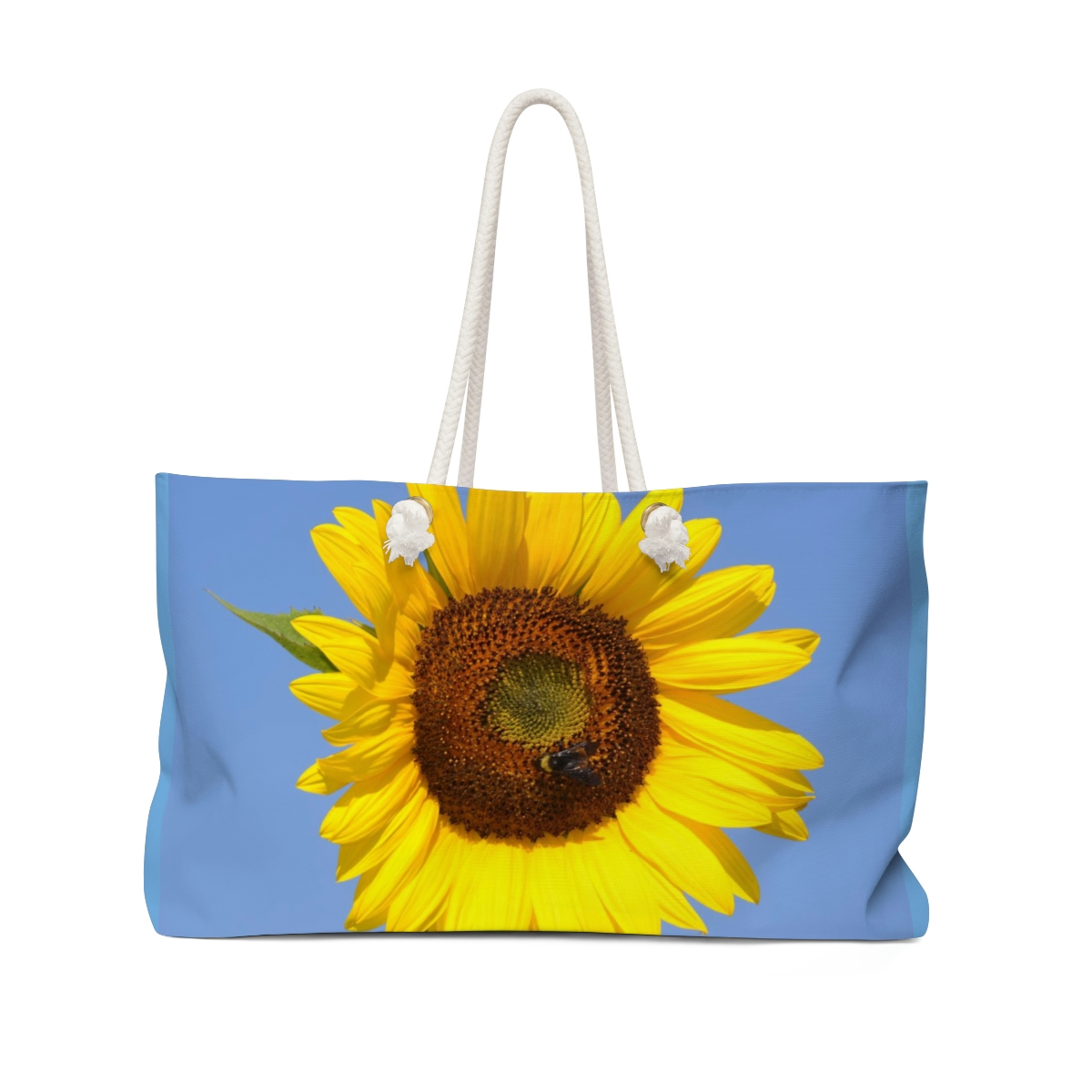 Joy in April - Dreams and Gardens