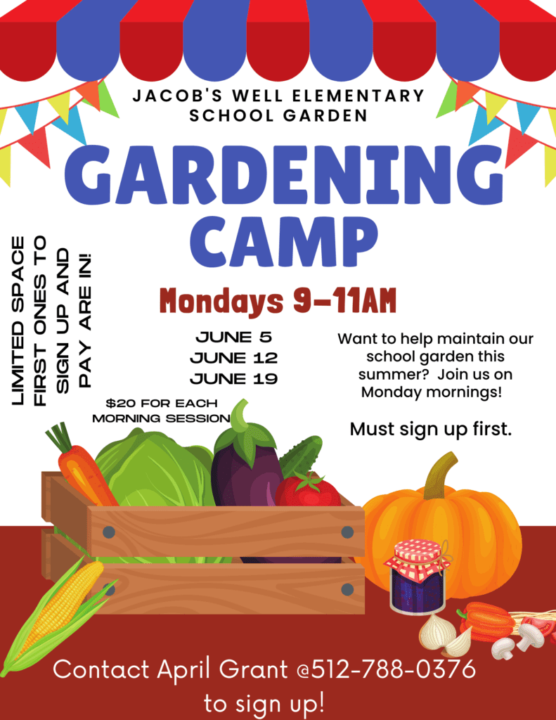 School Summer Camp - Dreams and Gardens